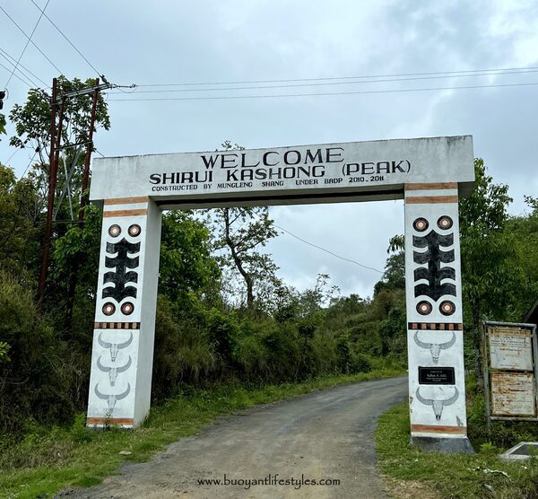 Shirui Peak Trek in Ukhrul, Manipur - Buoyant Lifestyles